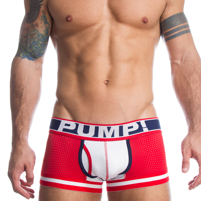 PUMP! | Touchdown Boxer Fever
