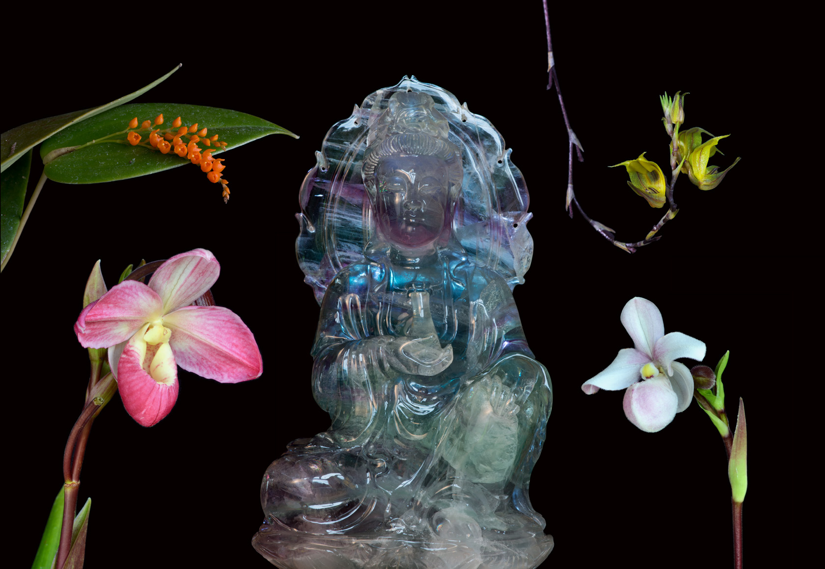 Light of the Soul 靈魂之光