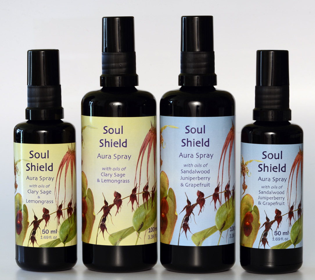 （防禦）Soul Shield 靈魂盾牌