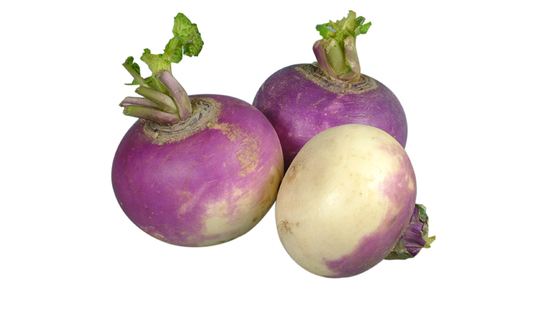Turnip