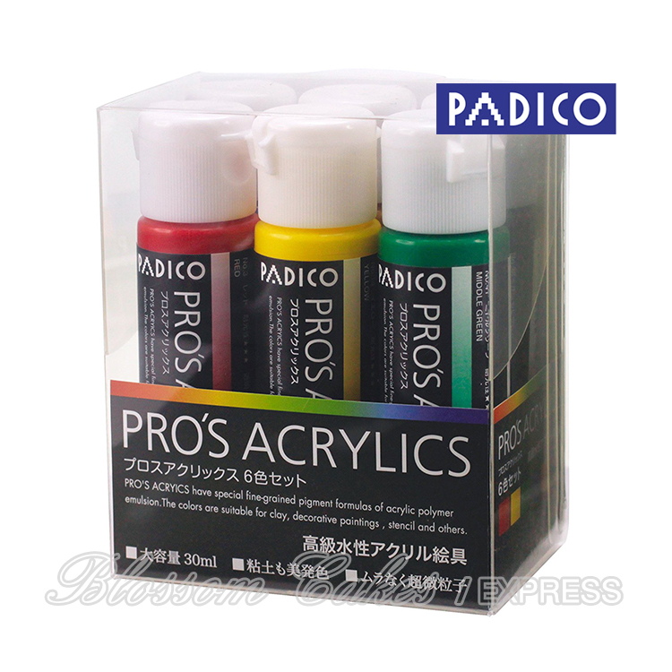 Padico Pro's Acrylics 6 Color Set