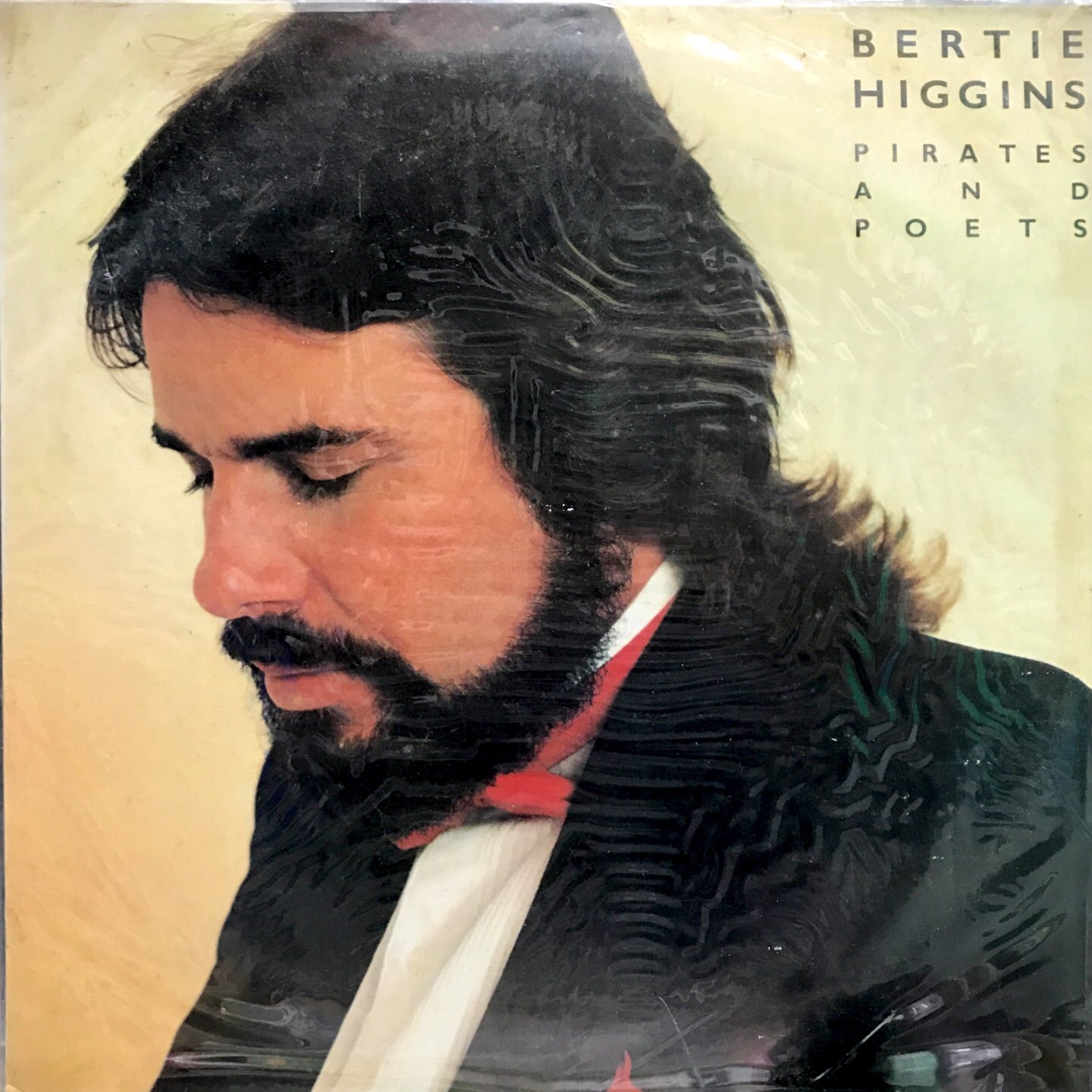 Bertie Higgins 黑膠唱片（600400000001）04 | 再生工場