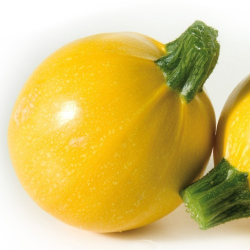 黃 圓櫛瓜 約200g round courgette round zucchini 適合填餡焗烤