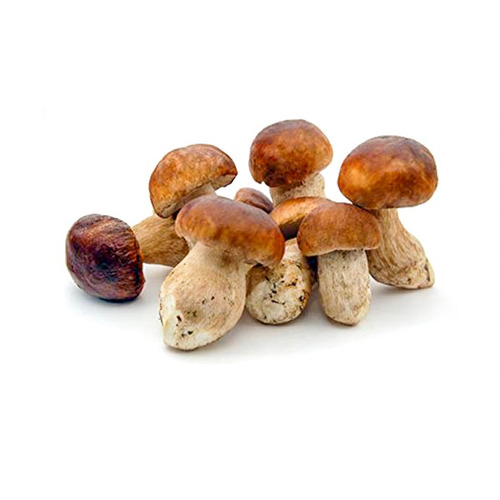 Frozen porcini 冷凍 新鮮牛肝菌菇 牛肝蕈 Frozen porcini 適合清炒 義大利麵 燉