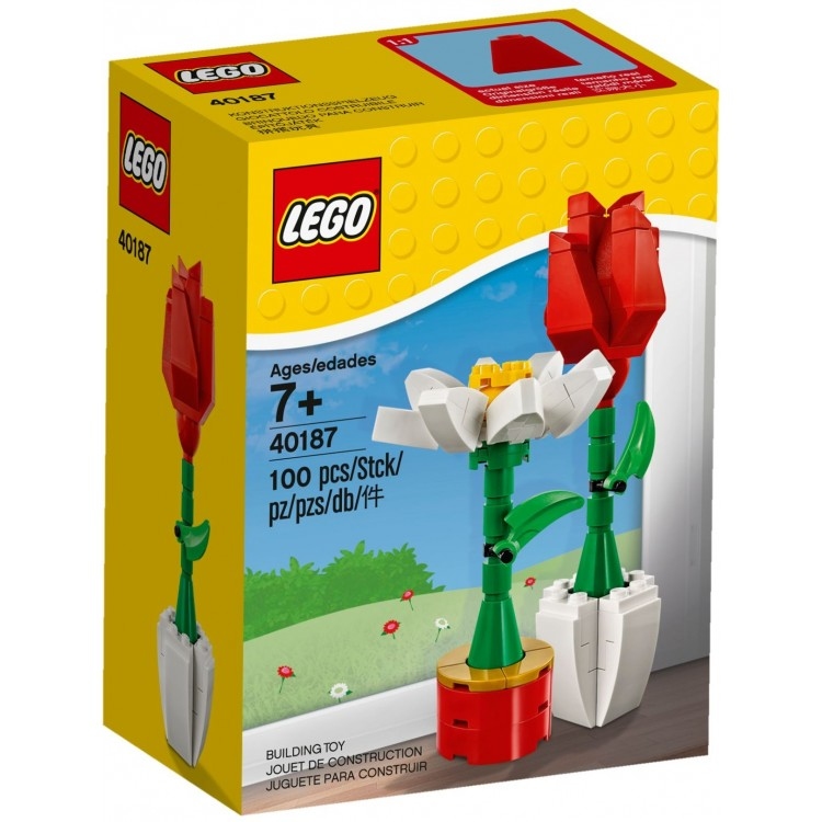 Lego 40187