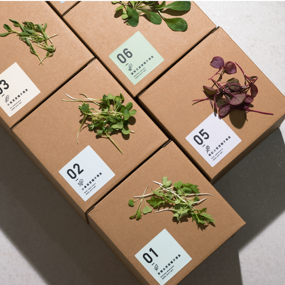 Seed Box 2 Gift Set