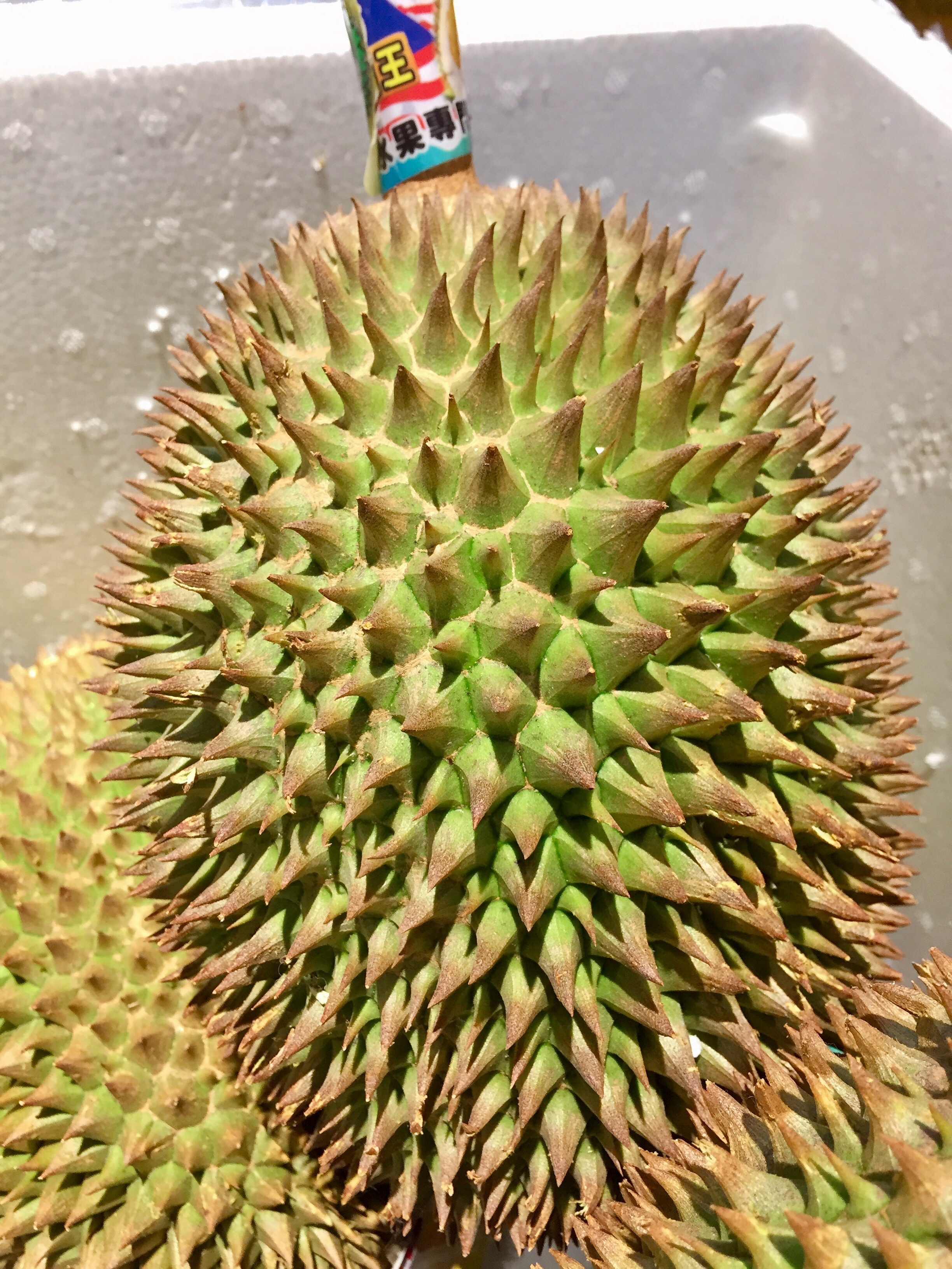 Shun Fung Fruits 順豐果欄 | 馬來西亞 彭亨AA級D24榴槤