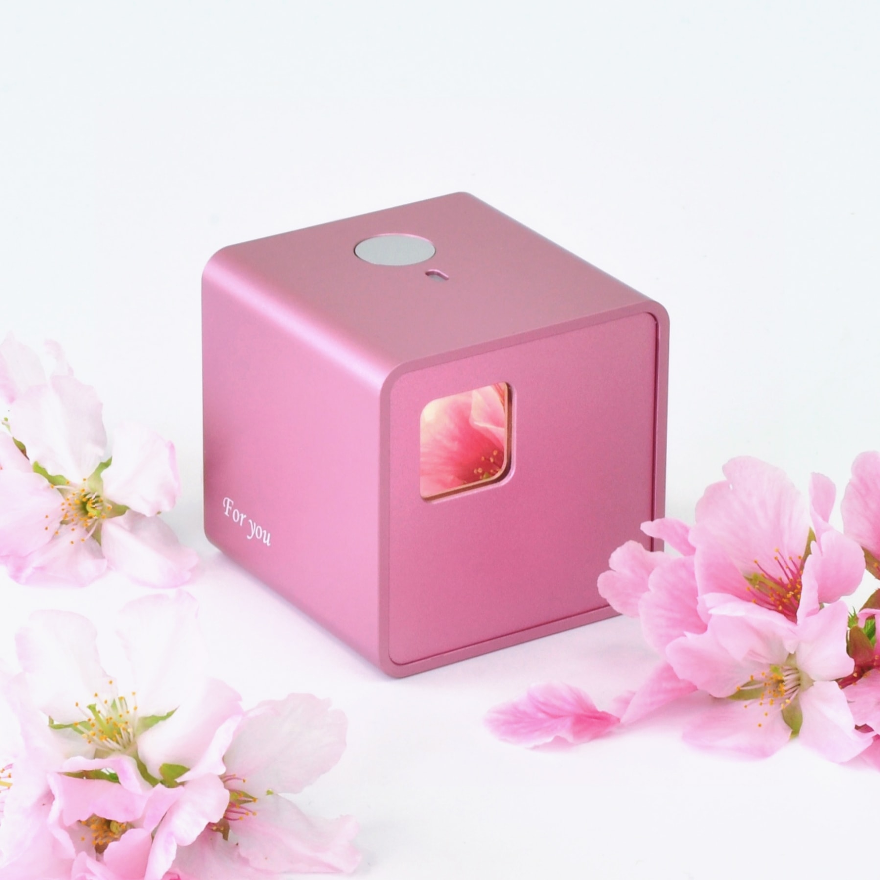 Cubiio Basic - Pink | Cubiio Shop
