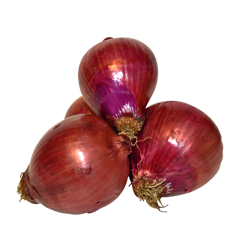 Australian / Holland Organic Red Onion