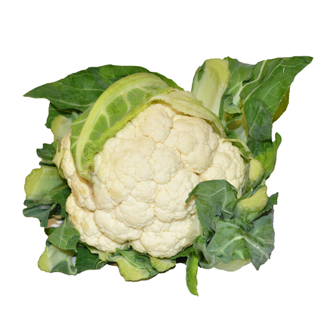 Australian/European Organic Cauliflower