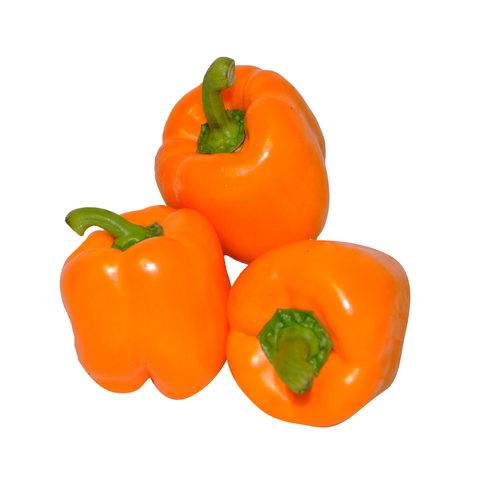 European Capsicum - Orange