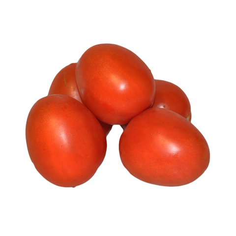 Australian Tomato Roma