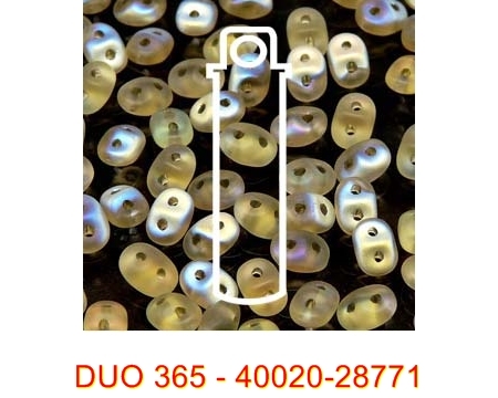 DUO 365