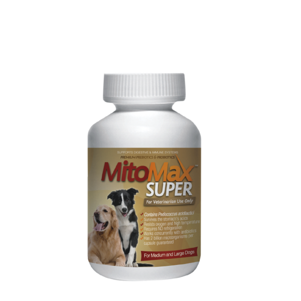 美國MitoMax『超級益生菌』，腸胃及腎臟保健/中大型犬，90粒