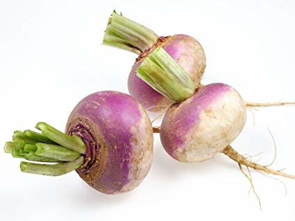 Purple Top Turnip