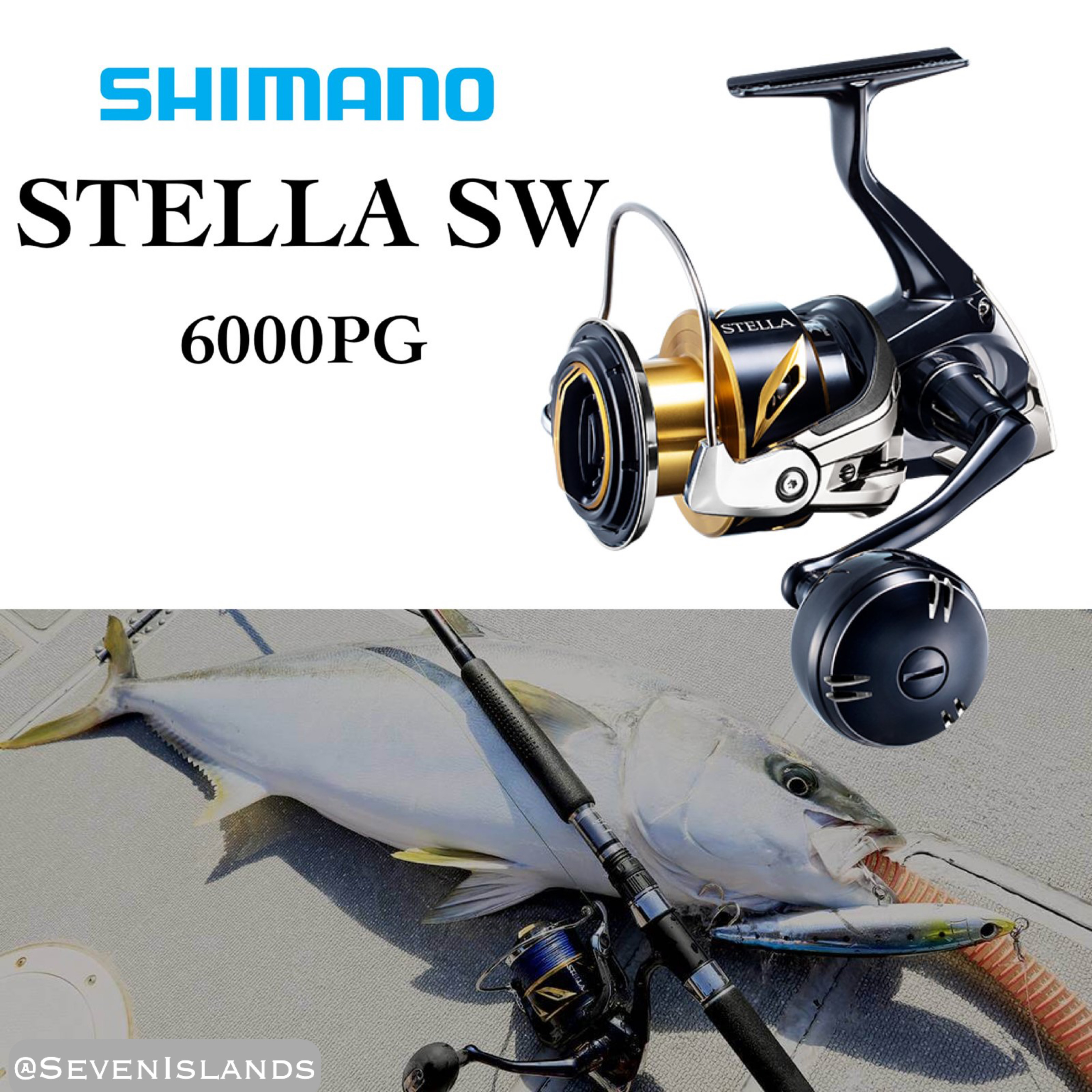 SHIMANO 2020 Stella SW 6000PG