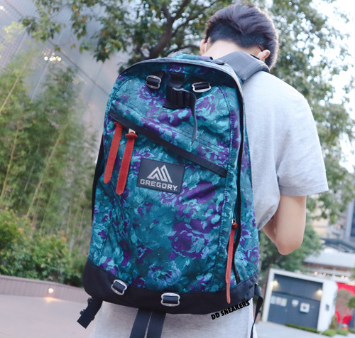 GREGORY DAYPACK 26L