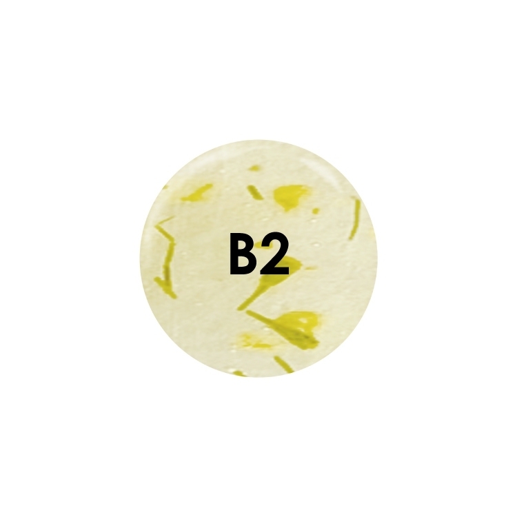 Putiel Color gel 2g - B2 Citron