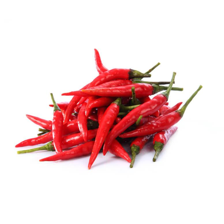 Small Red Chilli