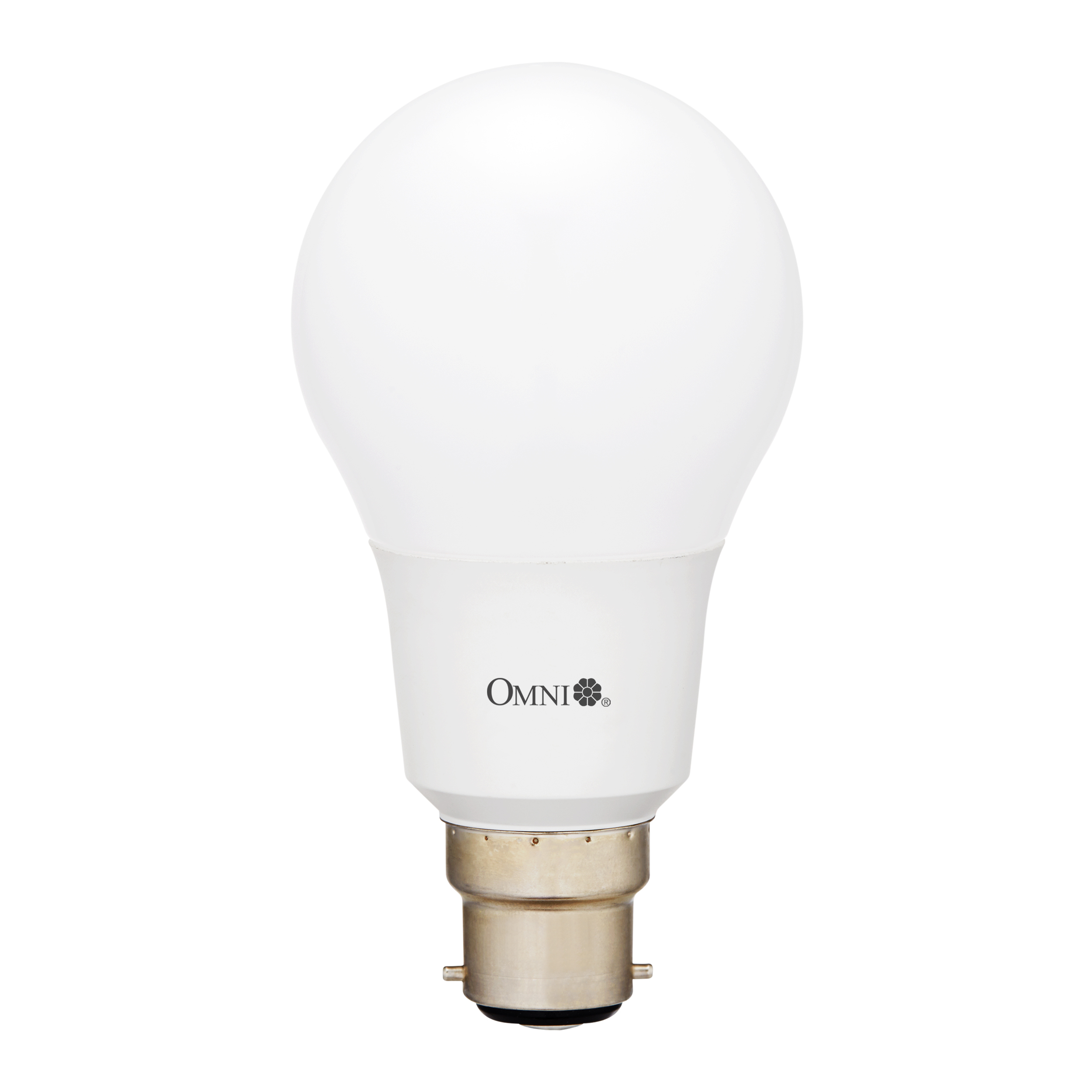 12W LED A65 燈膽 B22 釘頭B22 (冷白光)