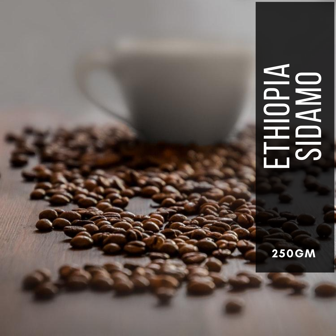 Ethopia Sidamo