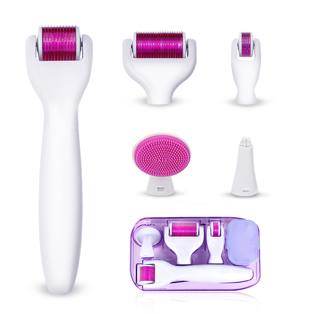 Eleheahtlthy 6 in 1 Derma Roller Kit for Face and Body