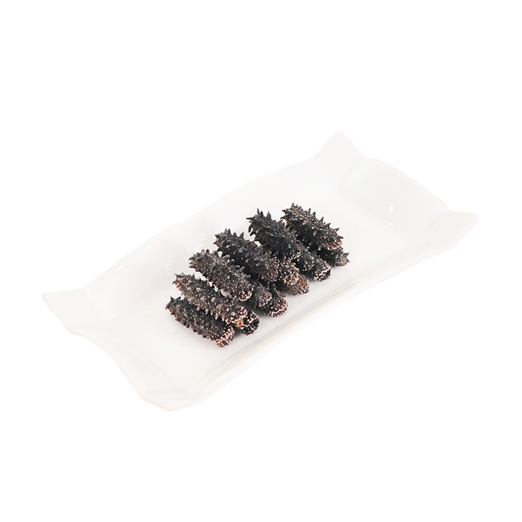 141-160 pcs/ Catty Japan Hokkaido Prickly Sea Cucumber
