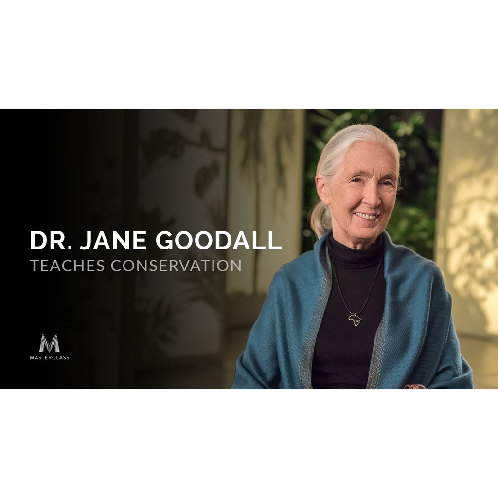 [Masterclass Course] Jane Goodall Teaches Conservation