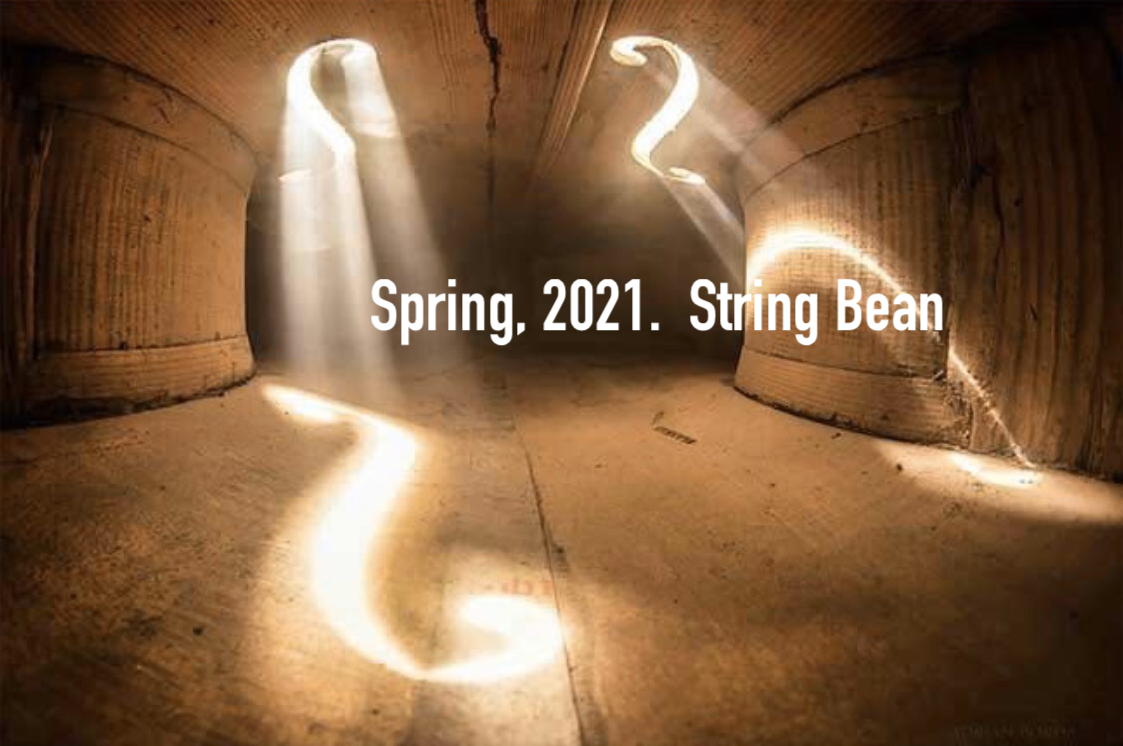 String Bean™
