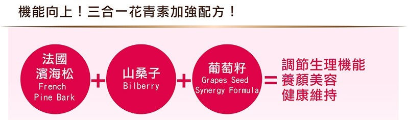 赫而司【法國青春露】濱海松複方膠囊(60顆*2罐)-法國濱海松樹皮/山桑子/葡萄籽小分子花青素OPCs配方
