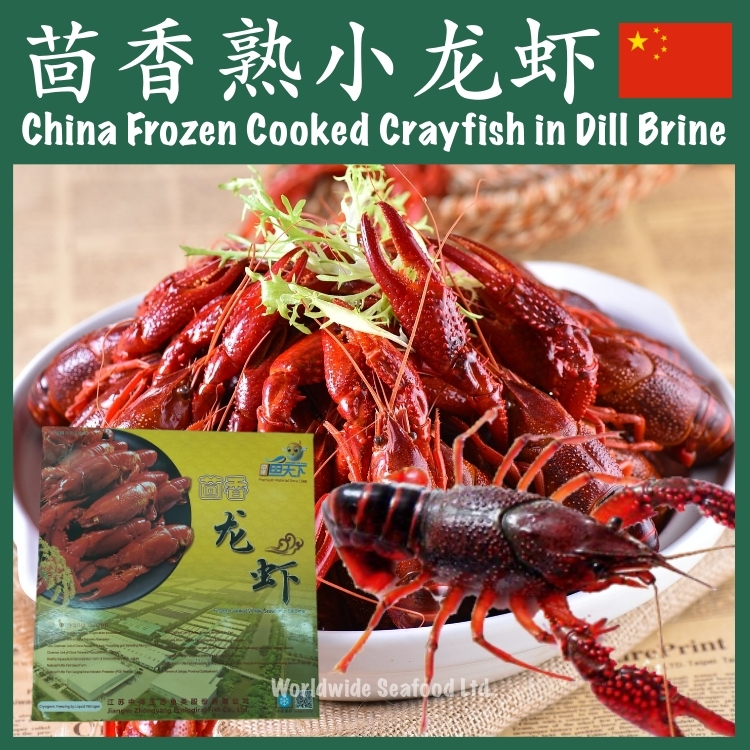 Frozen Cooked Crayfish in Dill Brine 28-32pcs/kg
