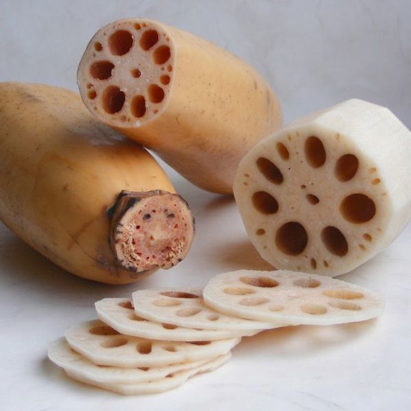 Lotus Root