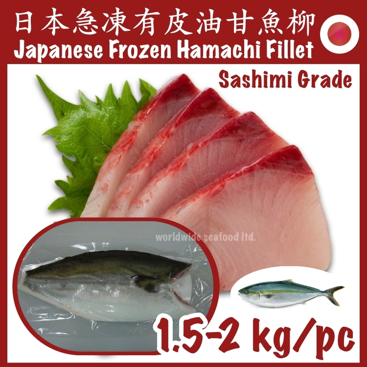 Japanese Frozen Hamachi Fillet, Skin-on ( Sashimi Grade
