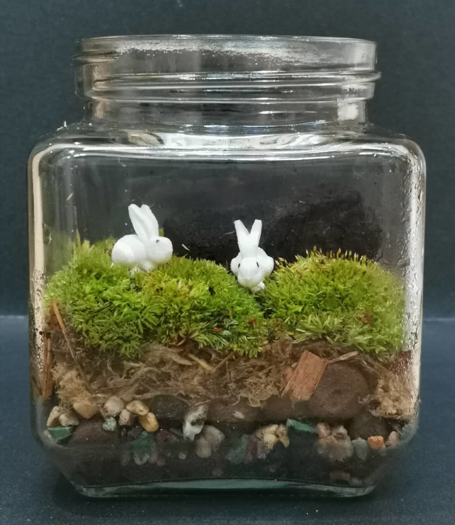 Mossarium with lovely rabbit