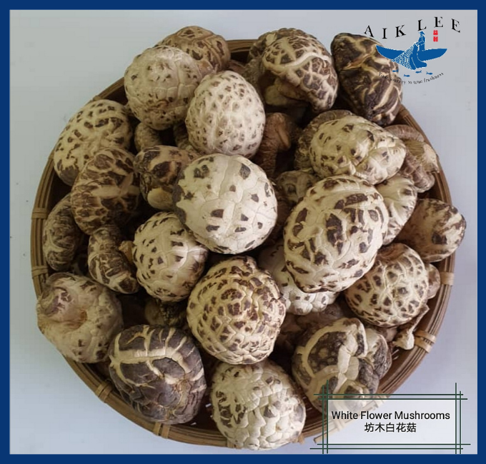 White Flower Mushrooms
