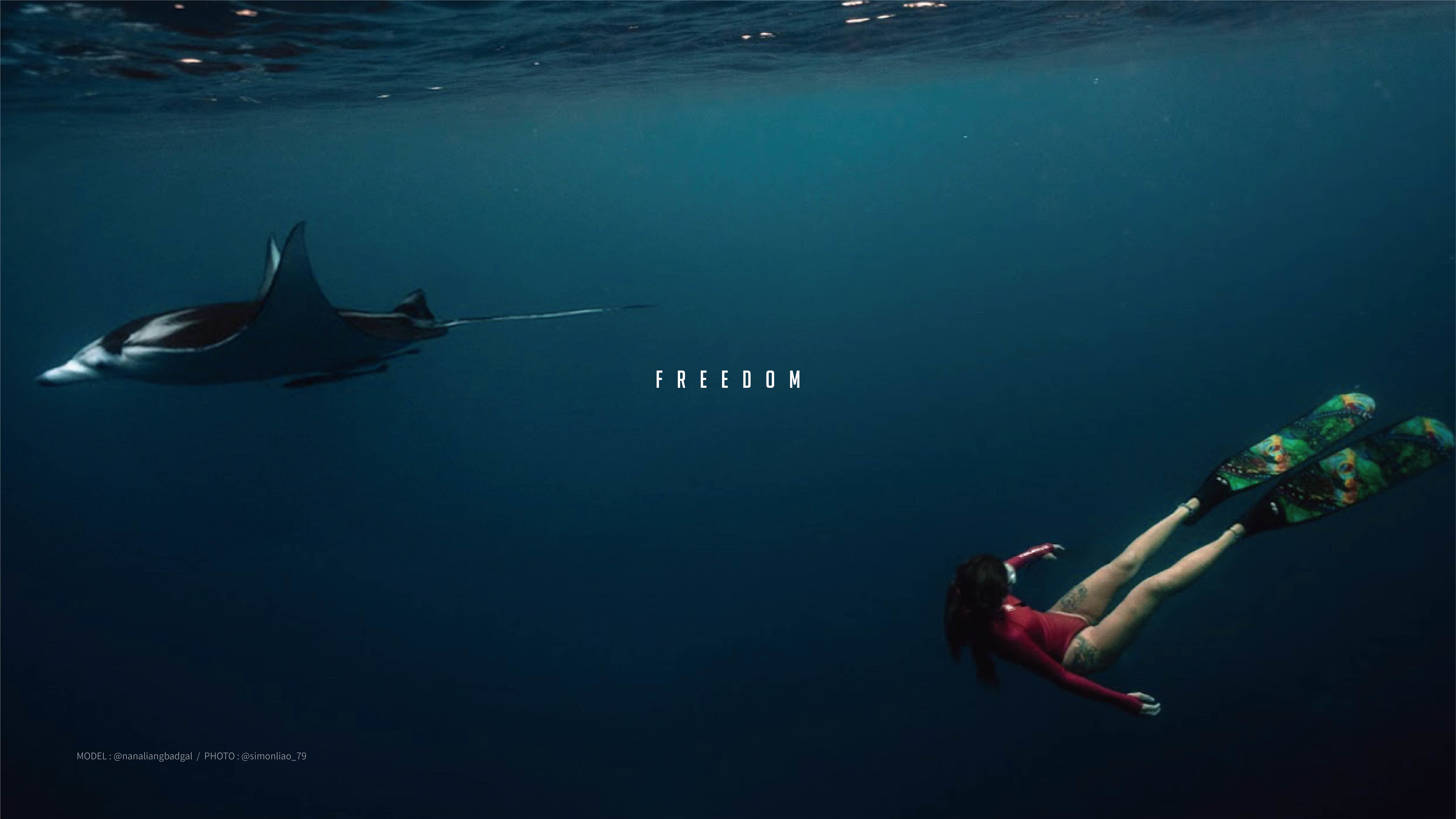 IDiver｜潛水裝備專賣|潛水課程|潛水旅遊