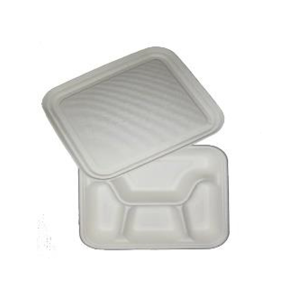 BIOCOM DETACHABLE 4 COMPARTMENT BOX