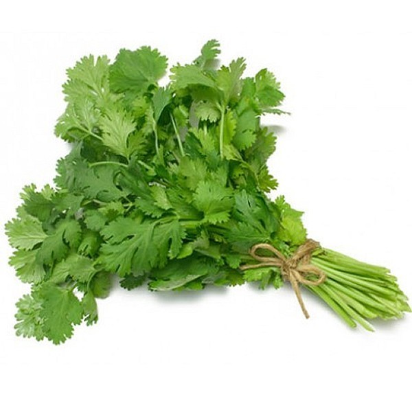 Coriander Fresh 15gm (New Zealand)
