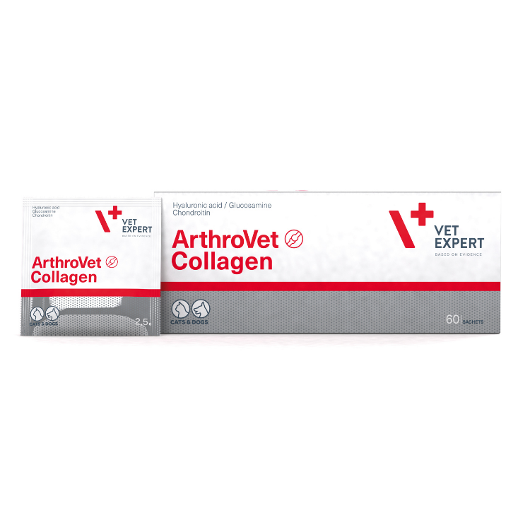 ArthroVet Collagen 60 sach