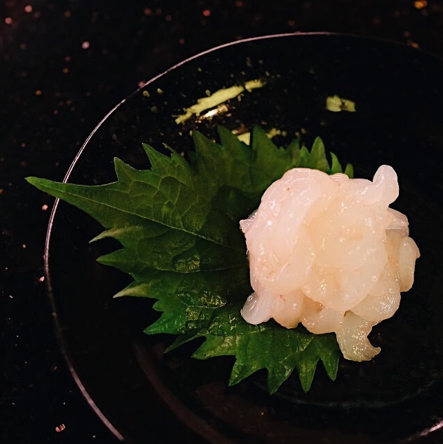 Toyama white shrimp (shiroebi)｜TW SEAFOOD