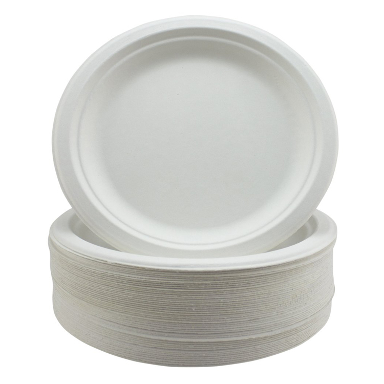 9" Biodegradable Plate (10 Pcs)