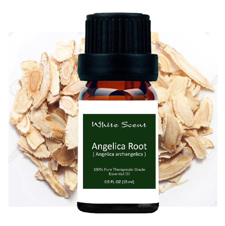 Angelica Root Essential Oil