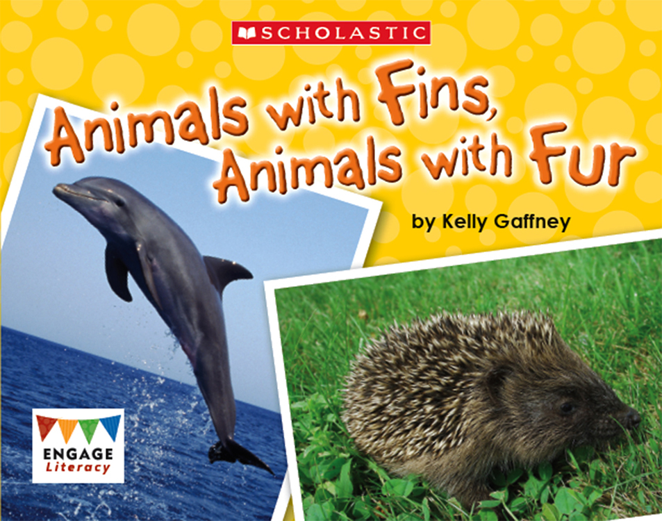 SC O N-F L17_ANIMALS WITH FINS, ANIMALS WITH FUR