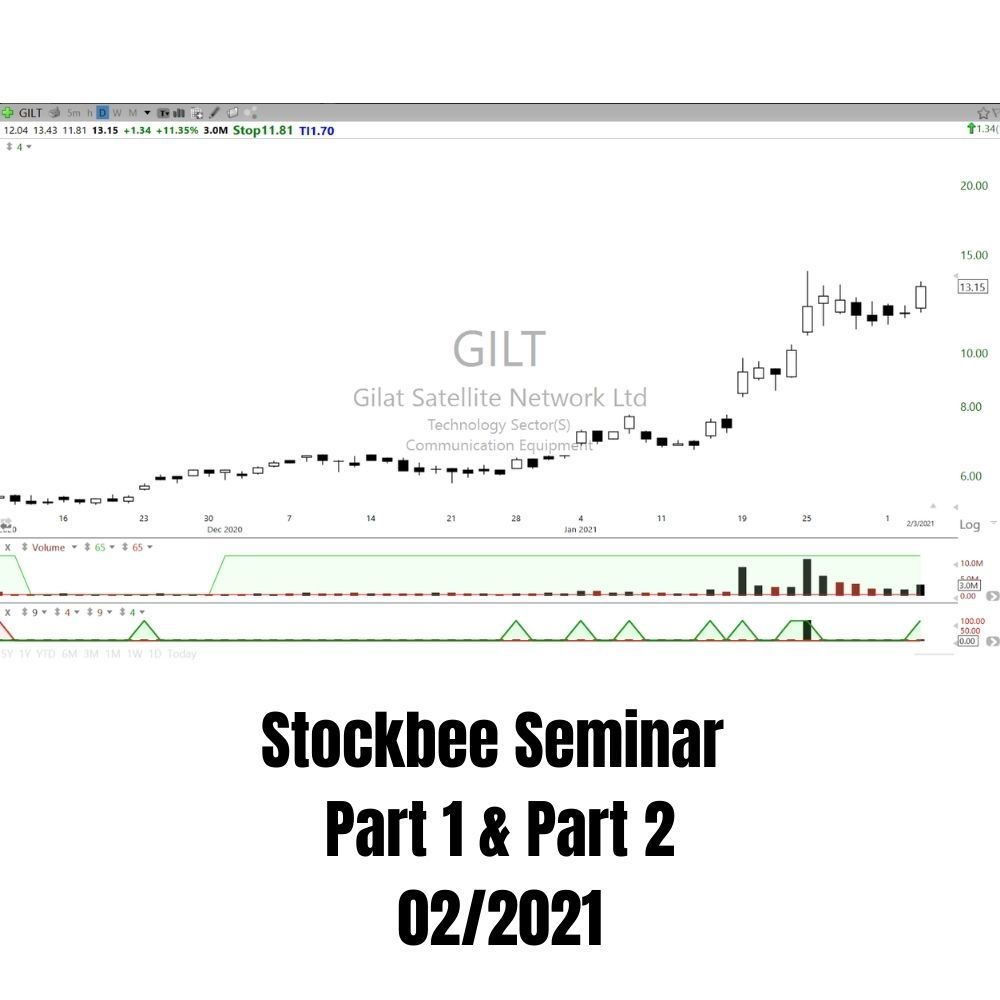 Stockbee Seminar Part 1 & Part 2 - 02/2021