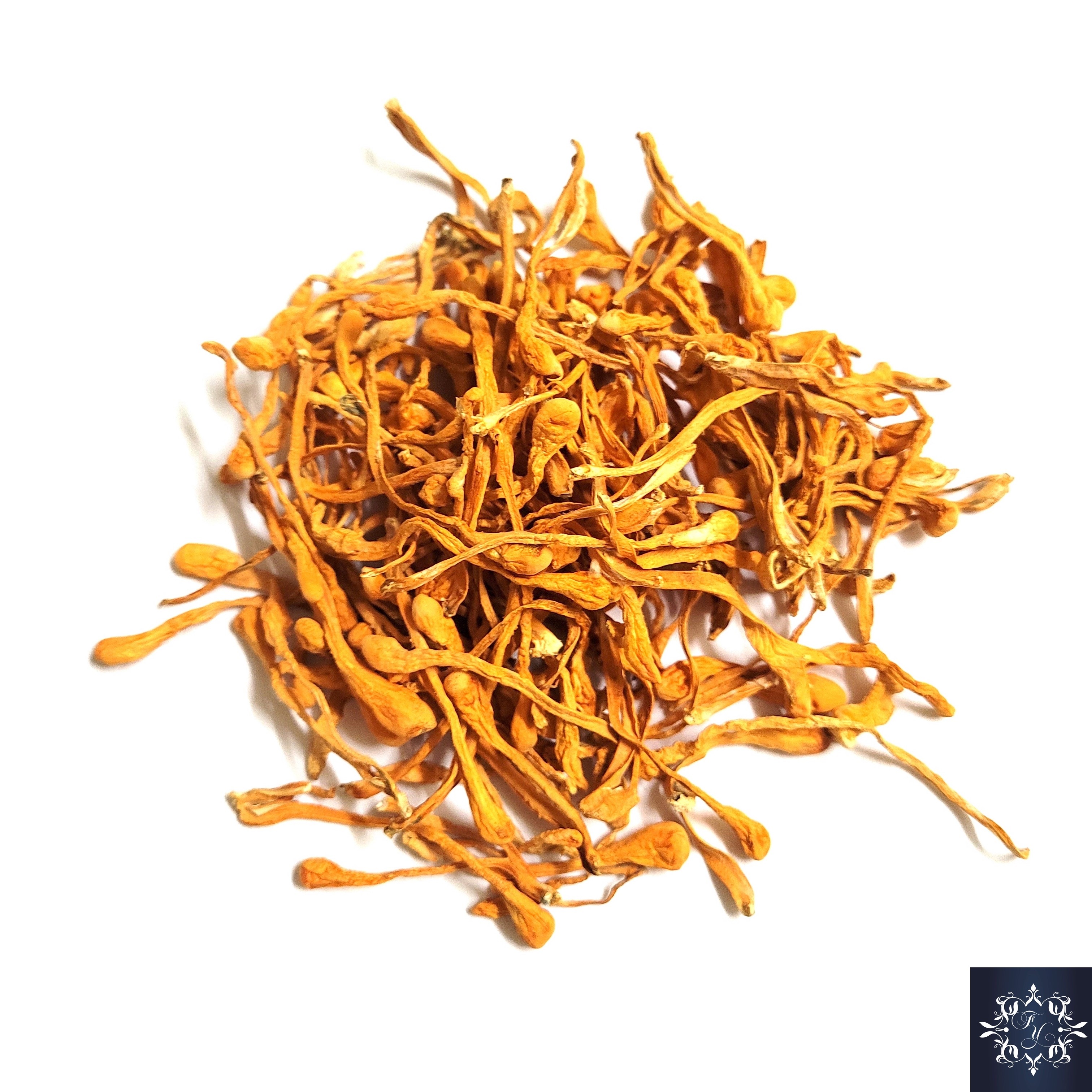 Cordyceps Flower Benefits | Best Flower Site