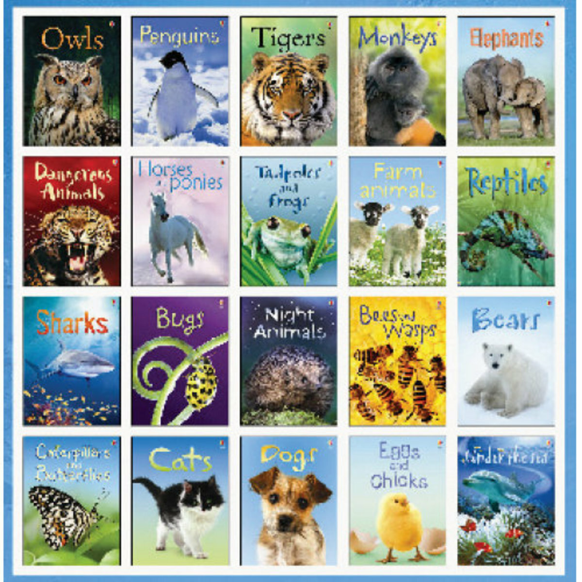 【正版】Animals Set (20 Books) 科學常識圖書; 文字淺易; 每本書均有延伸網上學習資源