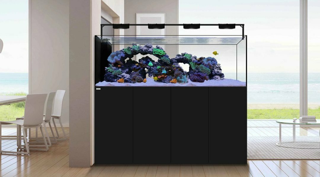 Waterbox Aquariums PENINSULA