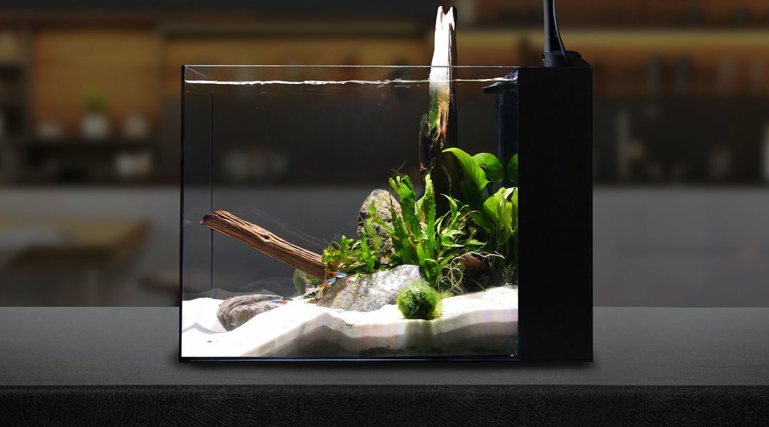 Waterbox Aquariums Peninsula Mini 25