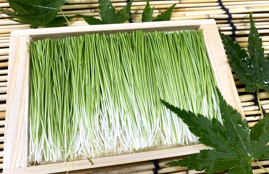 TW Seafood Delivery｜Menegi (Green Onion Bud)