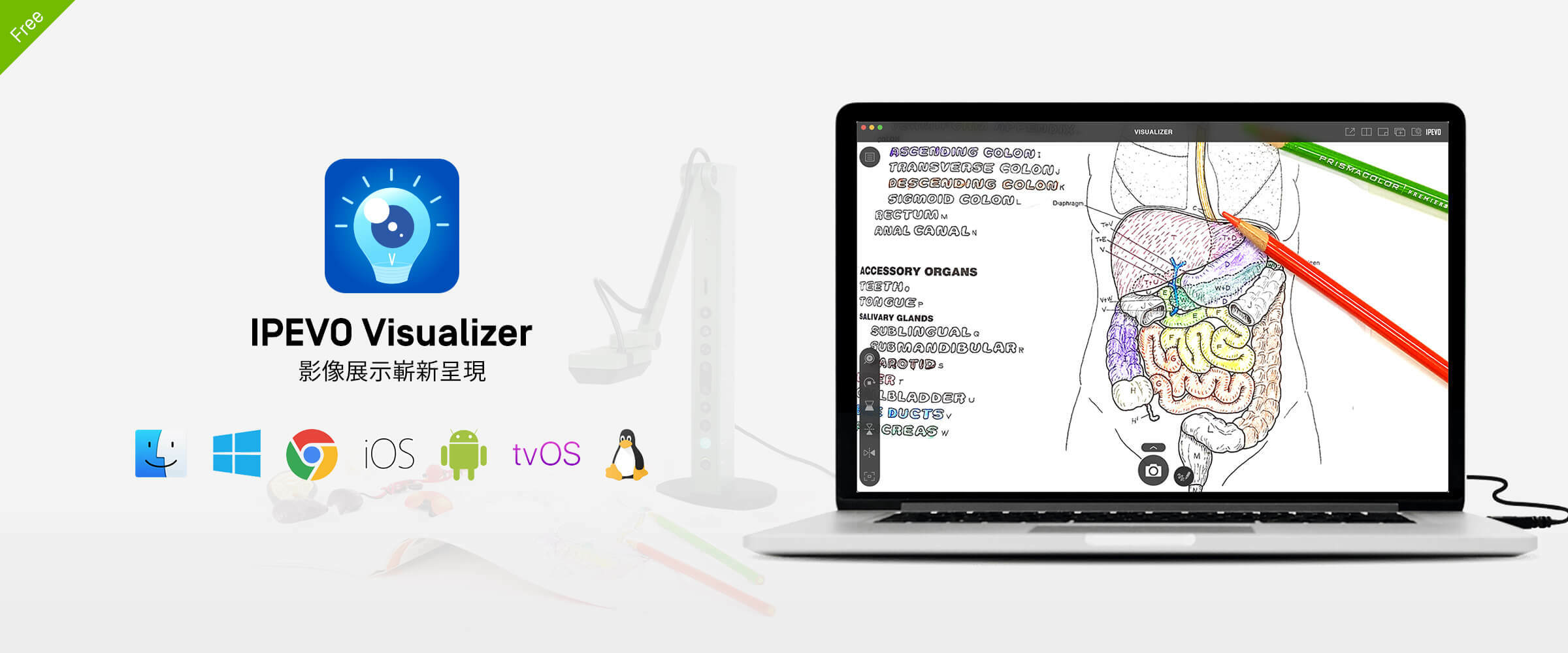 IPEVO Visualizer｜IPEVO 愛比科技